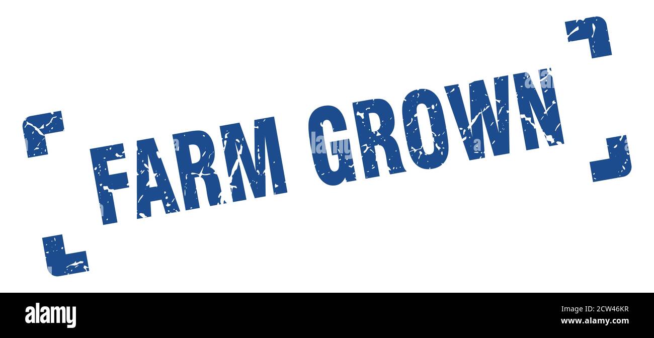 farm grown stamp. square grunge sign on white background Stock Vector Image & Art - Alamy