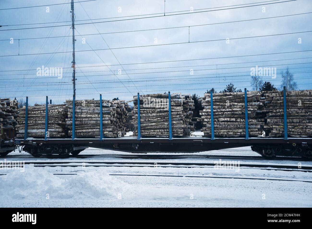The train carries birch firewood in winter. Railway car carrying birch ...