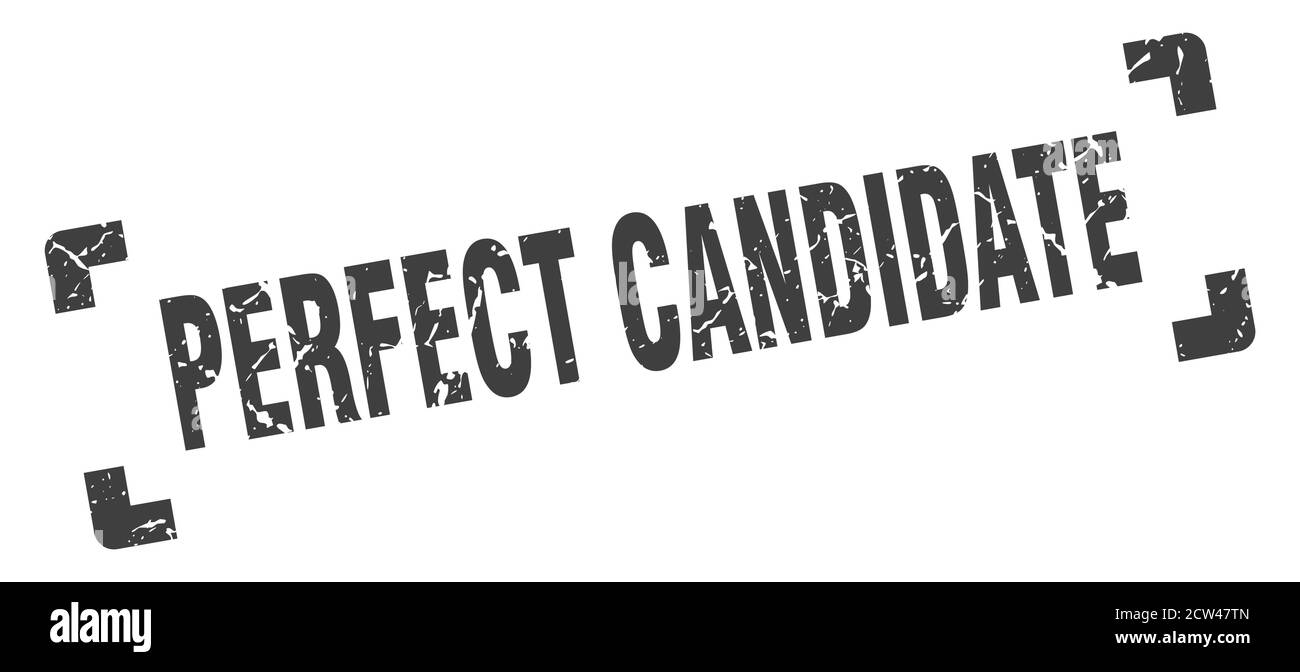 perfect candidate stamp. square grunge sign on white background Stock ...