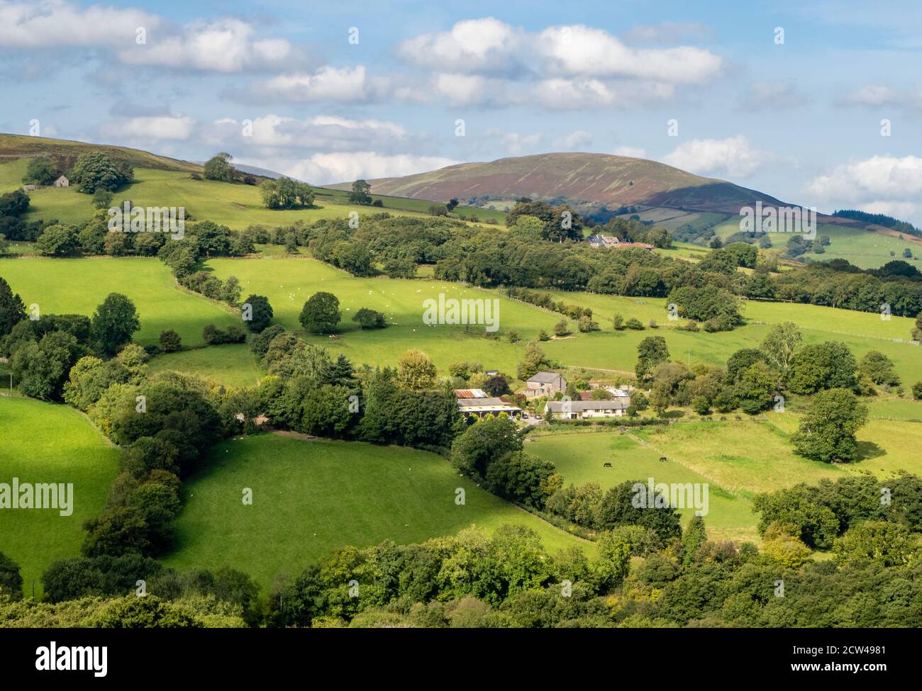 Welsh farm land hi-res stock photography and images - Alamy