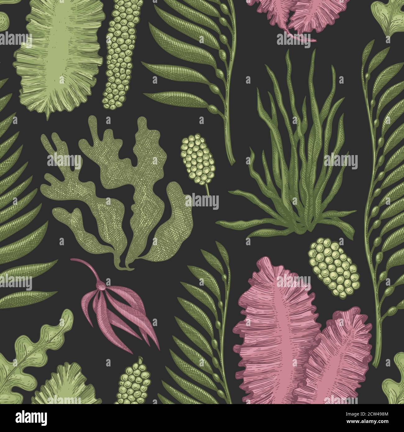 Seaweed seamless pattern. Hand drawn vector seaweeds color illustration ...