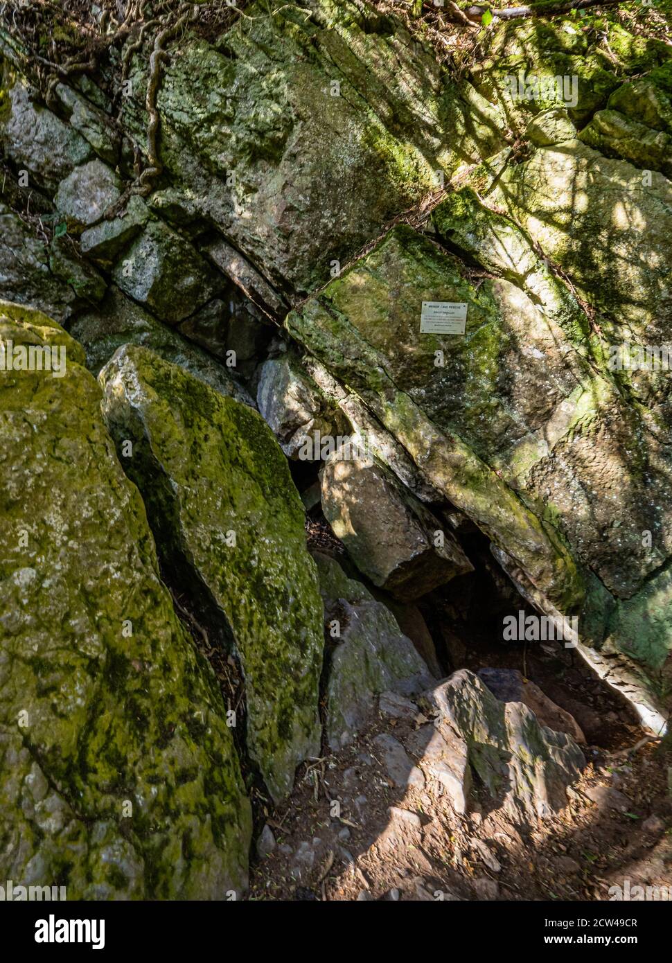 Sidcot swallet hi-res stock photography and images - Alamy