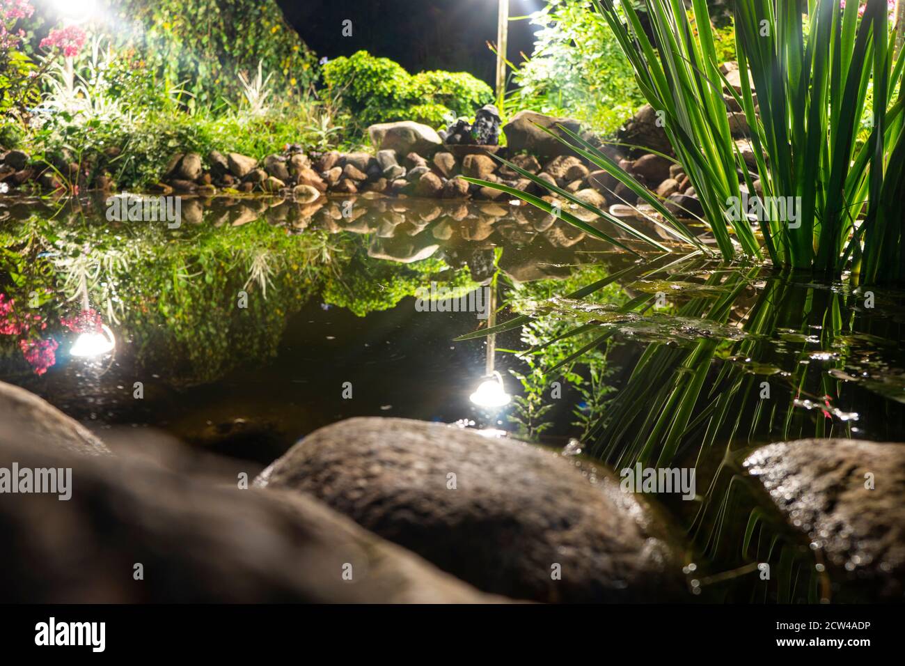 Garden pond at night. Illuminated pond shore in a night. Garden fish ...