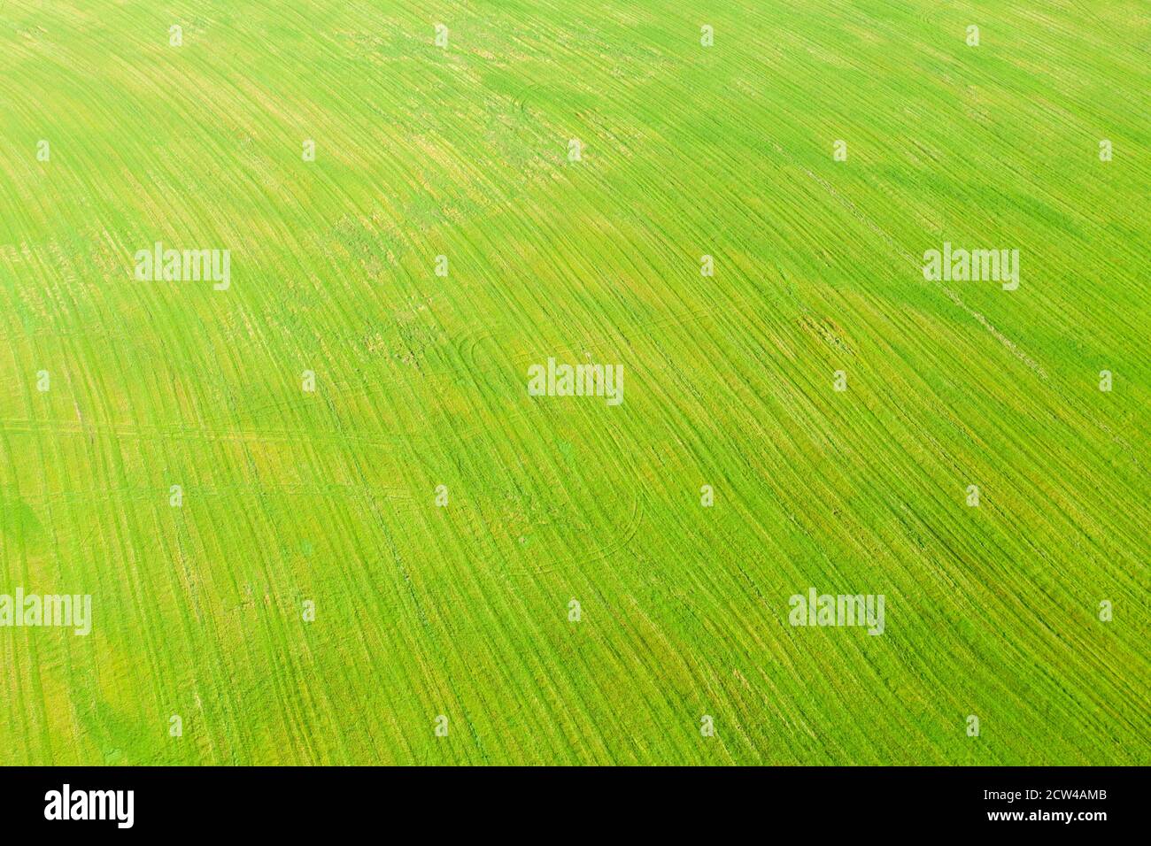 Aerial view of agricultural green field. Plowed agricultural field ...