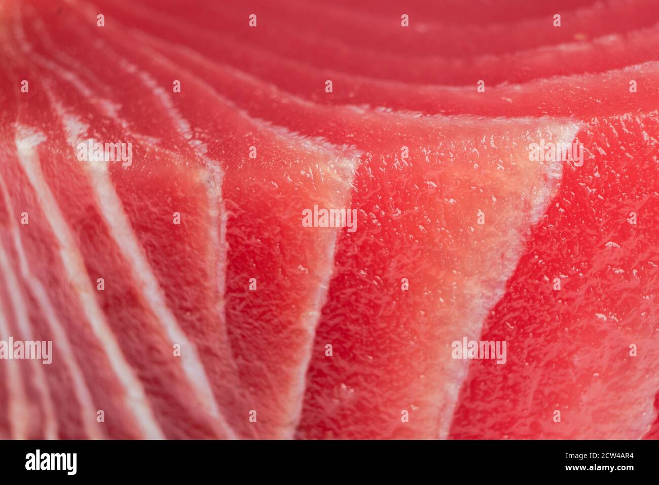 Macro shot yellow fin tuna steak background. Fresh rare tuna steak ...