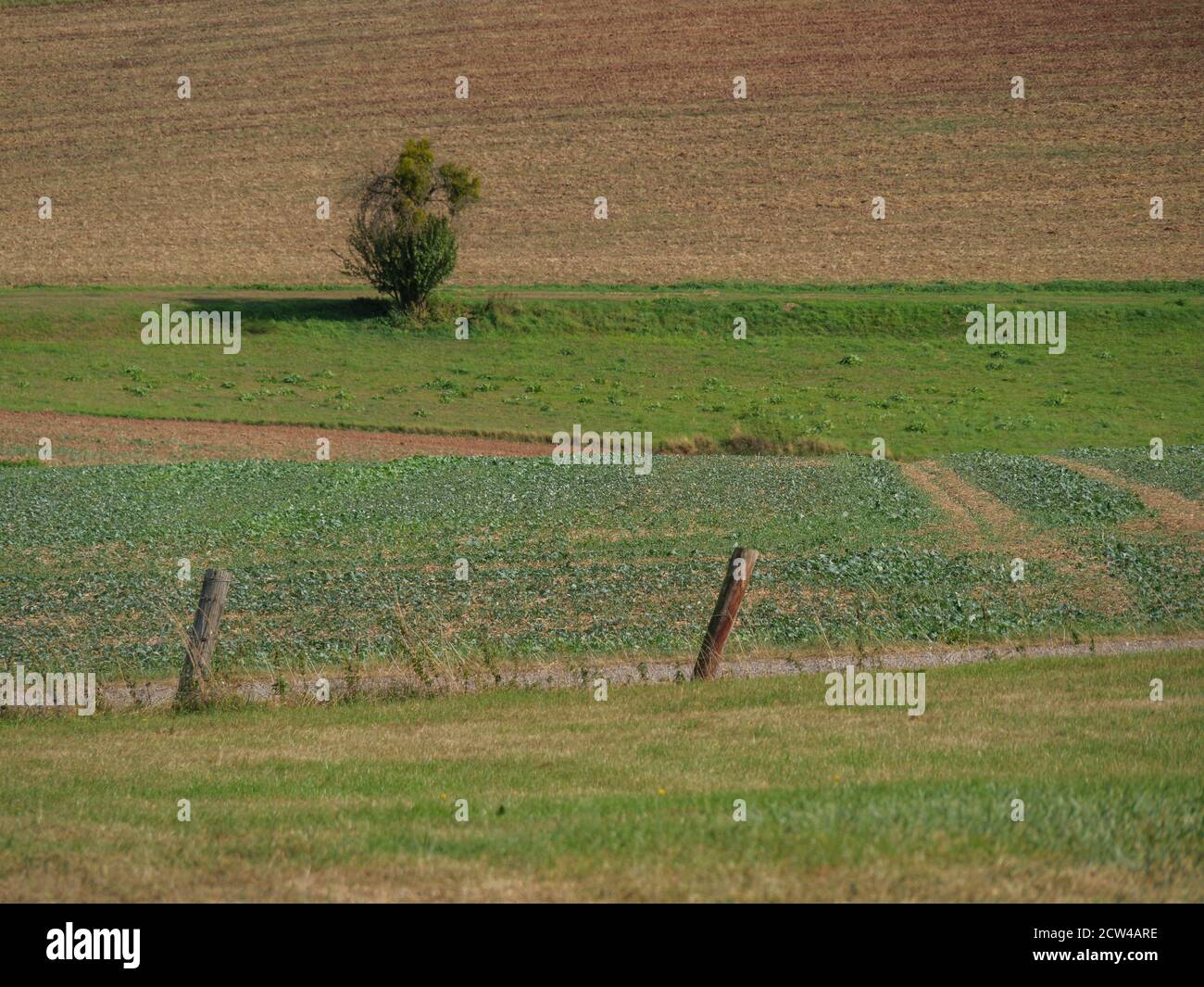 the edersee and the city of waldeck Stock Photo - Alamy