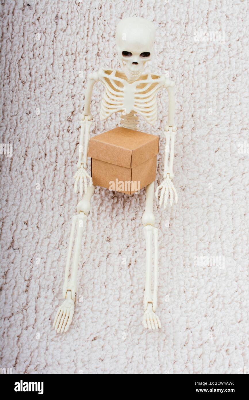 Human skeleton model for medical anatomy science with cardboard box ...