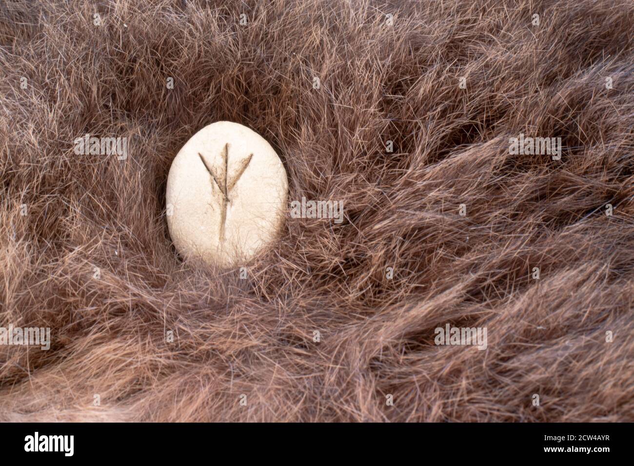 Algiz Nordic stone rune on fur. Letter Eolh of the Viking alphabet ...