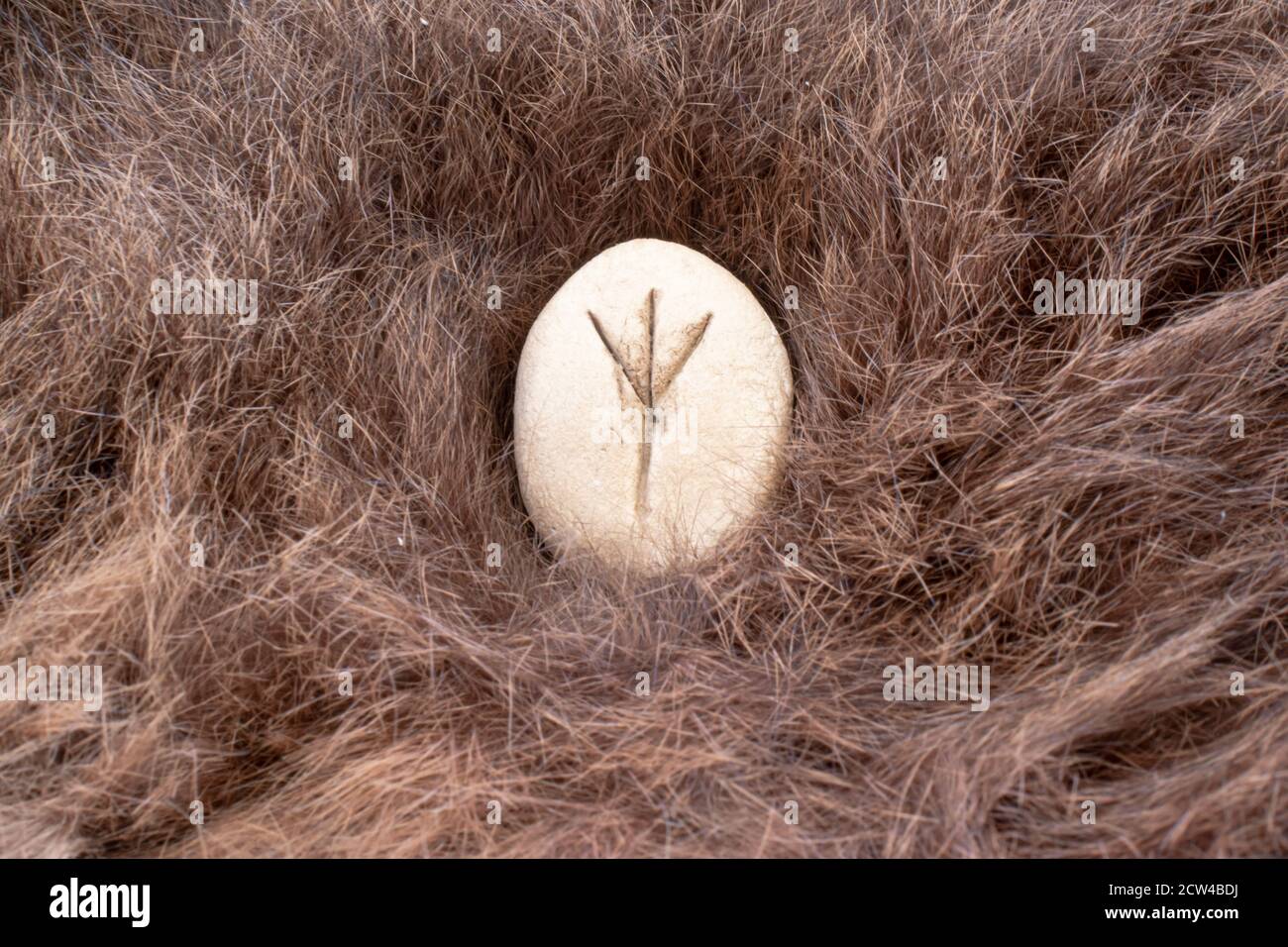 Algiz Nordic stone rune on fur. Letter Eolh of the Viking alphabet ...