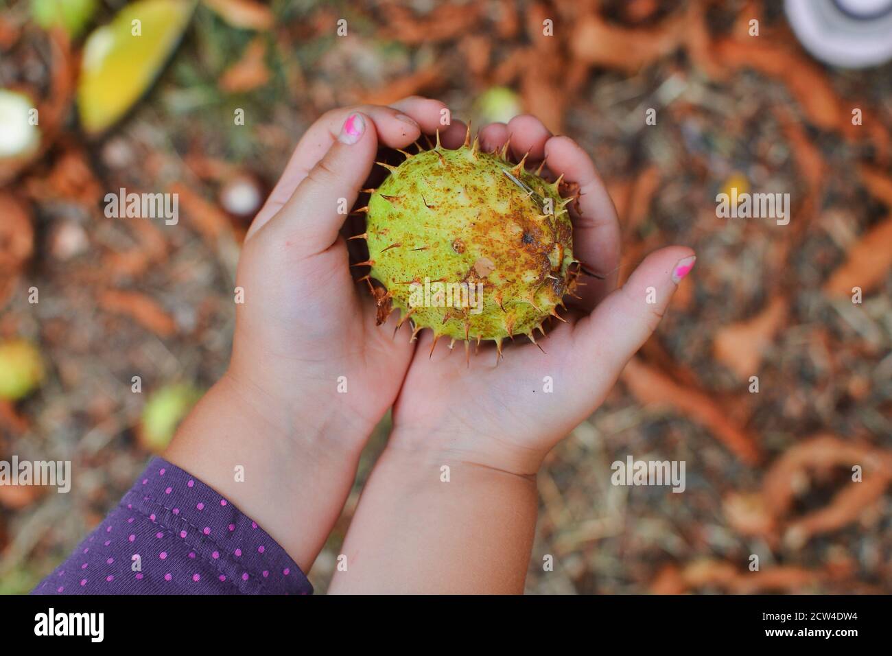Child photo plant hi-res stock photography and images - Alamy