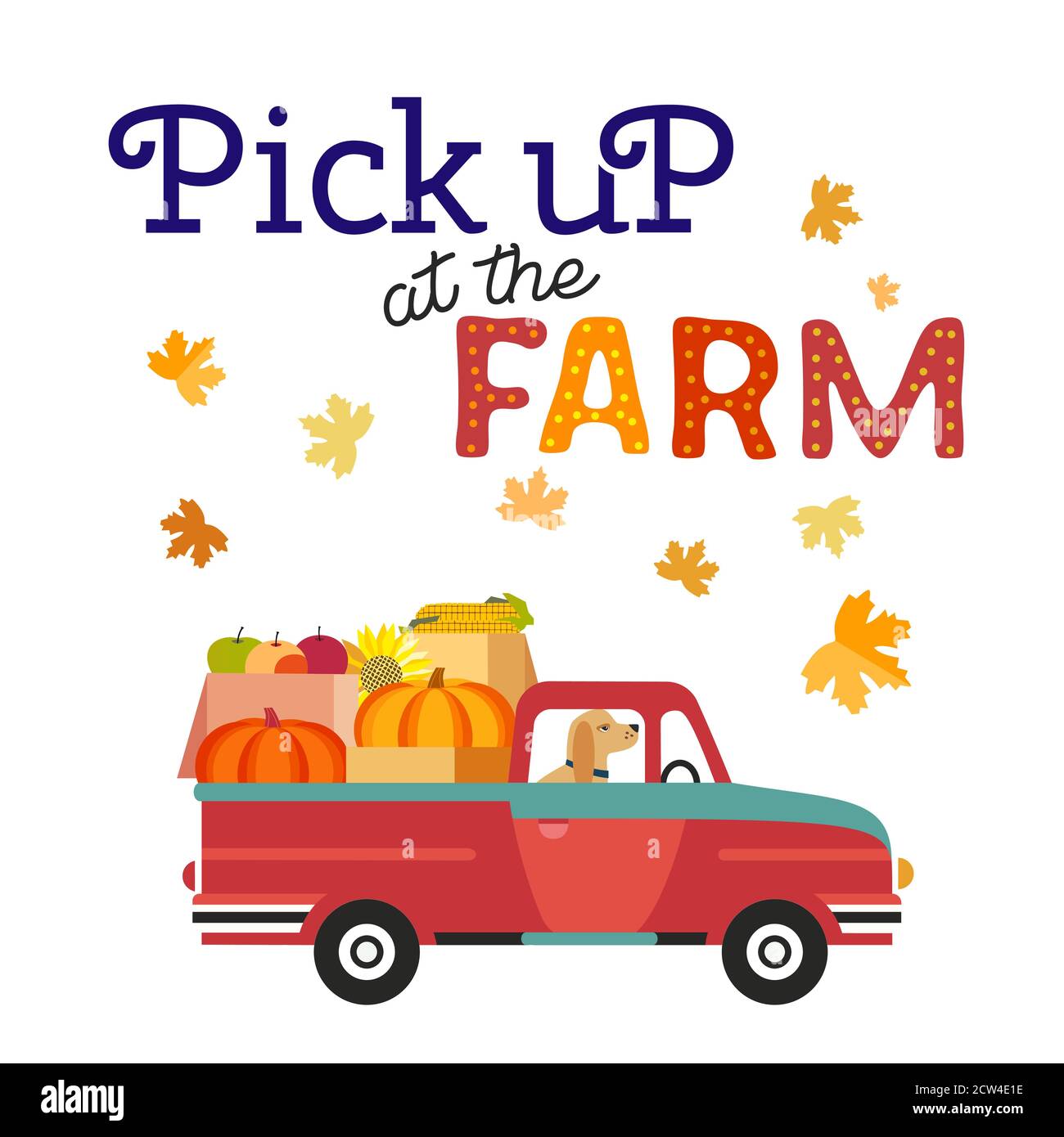 Farm fall festival pumpkins Cut Out Stock Images & Pictures - Alamy