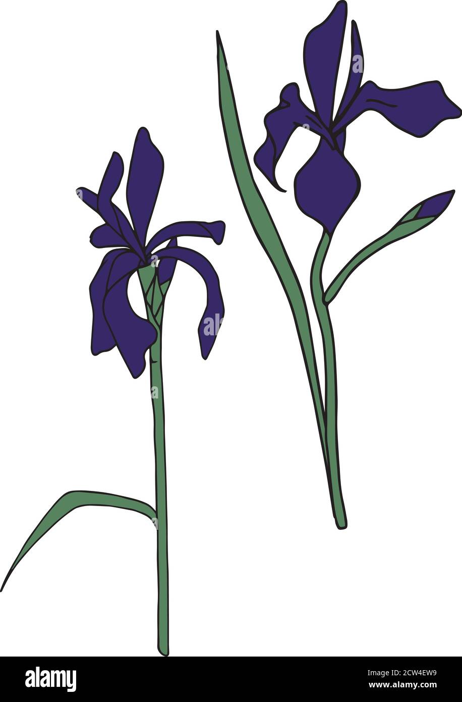 Hand embroidery beautiful flowers Cut Out Stock Images & Pictures - Alamy