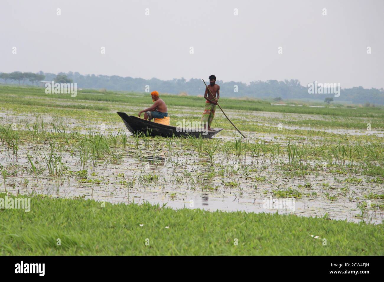 Rural life in Bangladesh, South Asia Stock Photo - Alamy