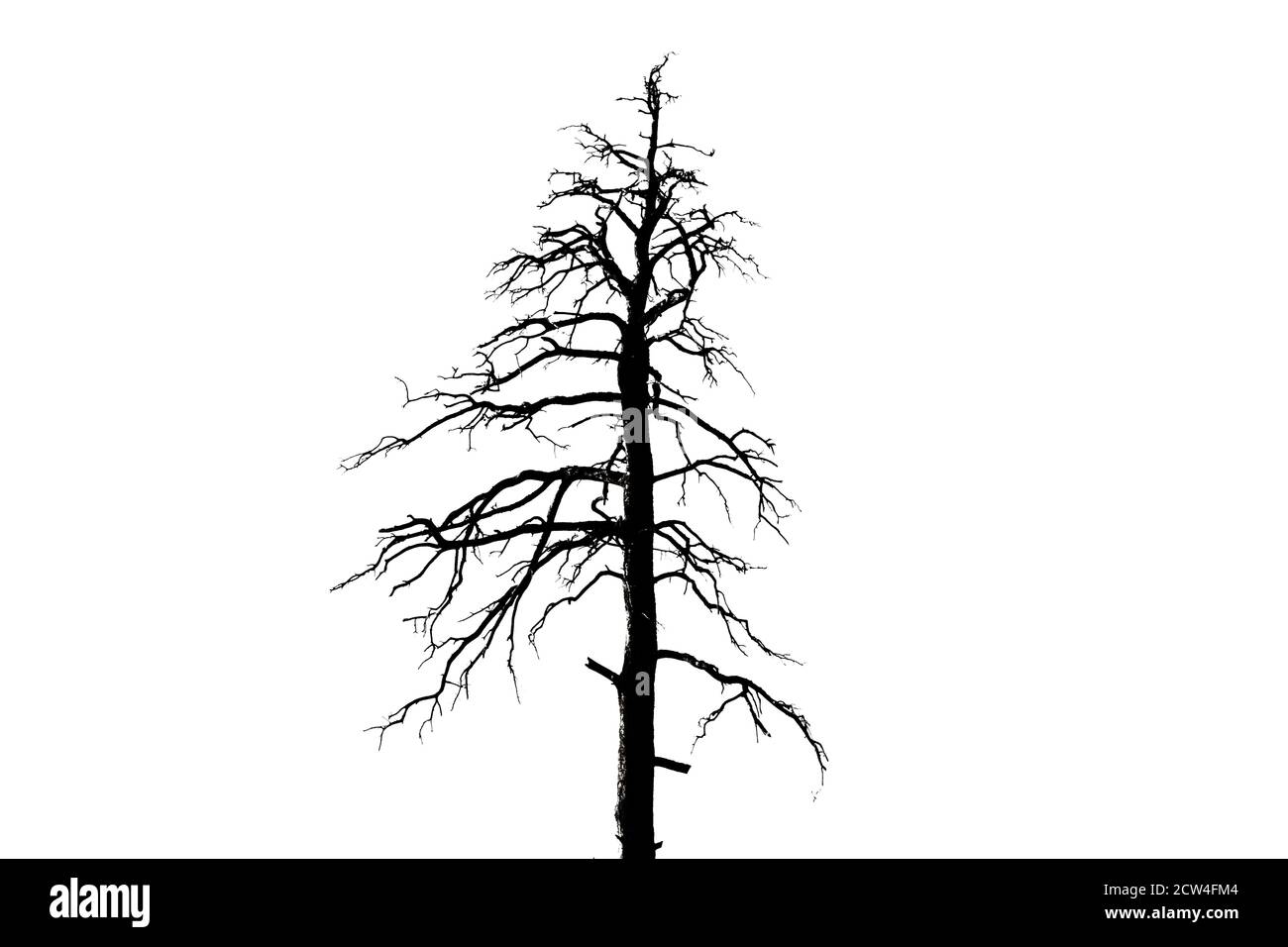 Perishing hi-res stock photography and images - Alamy