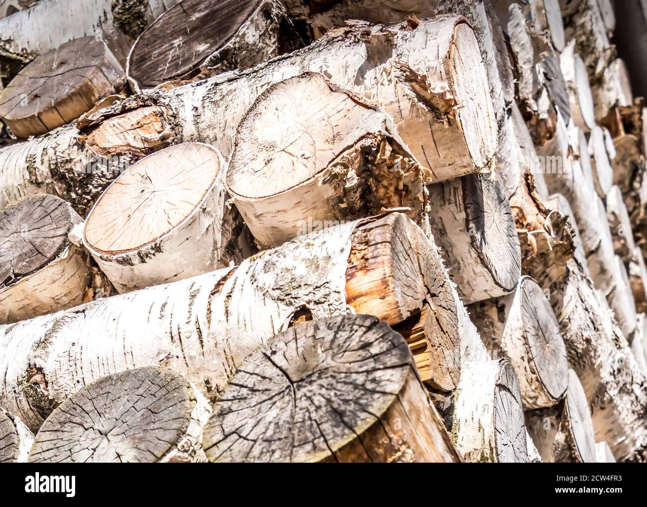 Stack of birch logs Stock Photo - Alamy