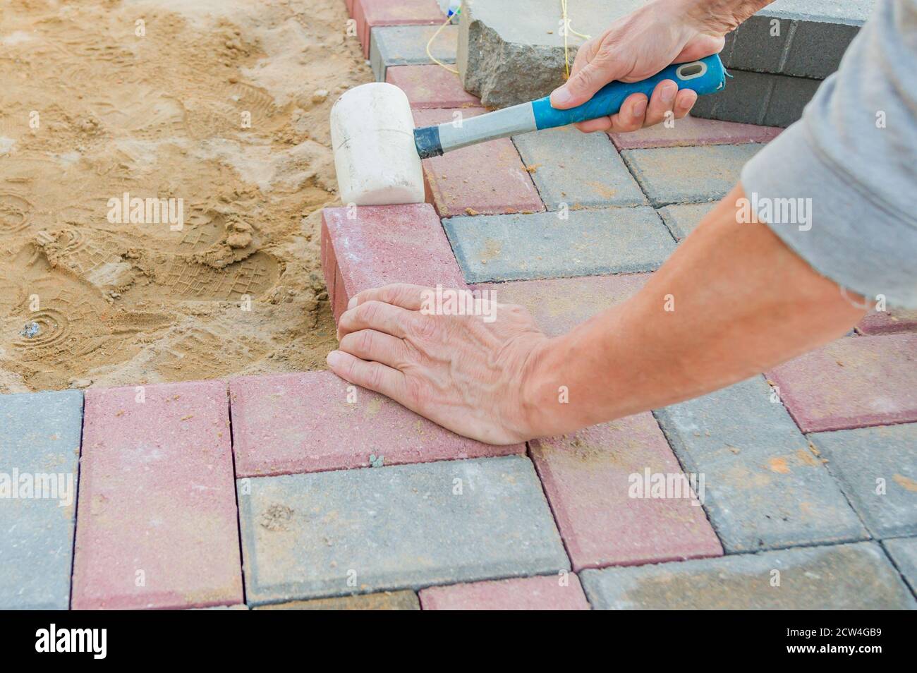 Worker laying red and gray concrete paving blocks. Road Paving ...