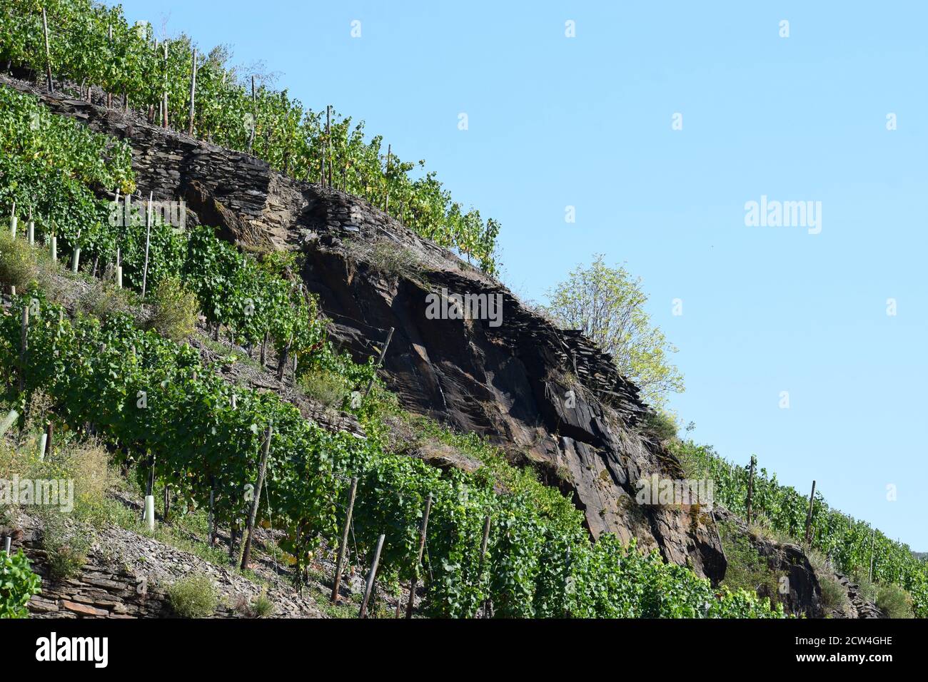 Marienthal ahr hi-res stock photography and images - Alamy