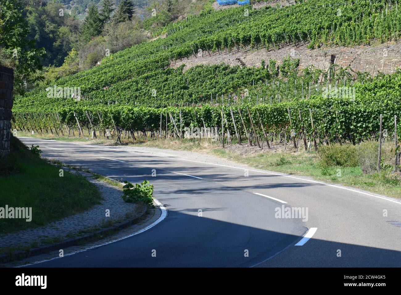 Marienthal ahr hi-res stock photography and images - Alamy