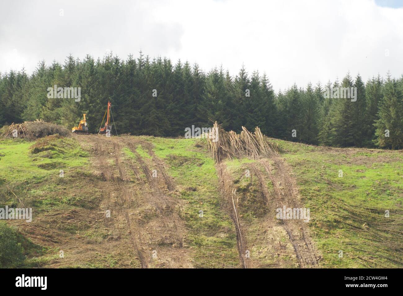 Deforestation in the Elan River valley, near Builth Wells, Mid Wales ...