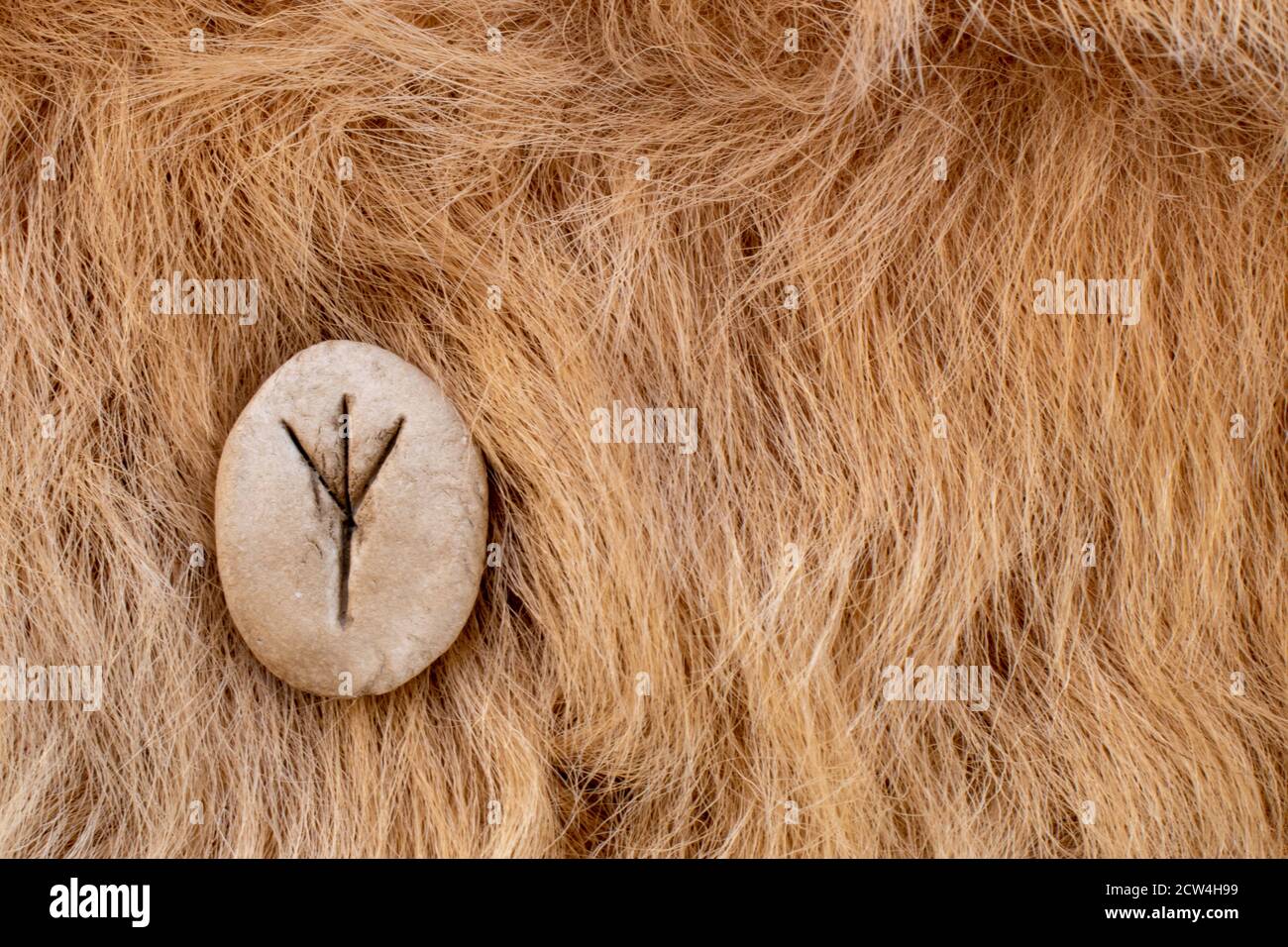 Algiz Nordic stone rune on fur. Letter Eolh of the Viking alphabet ...