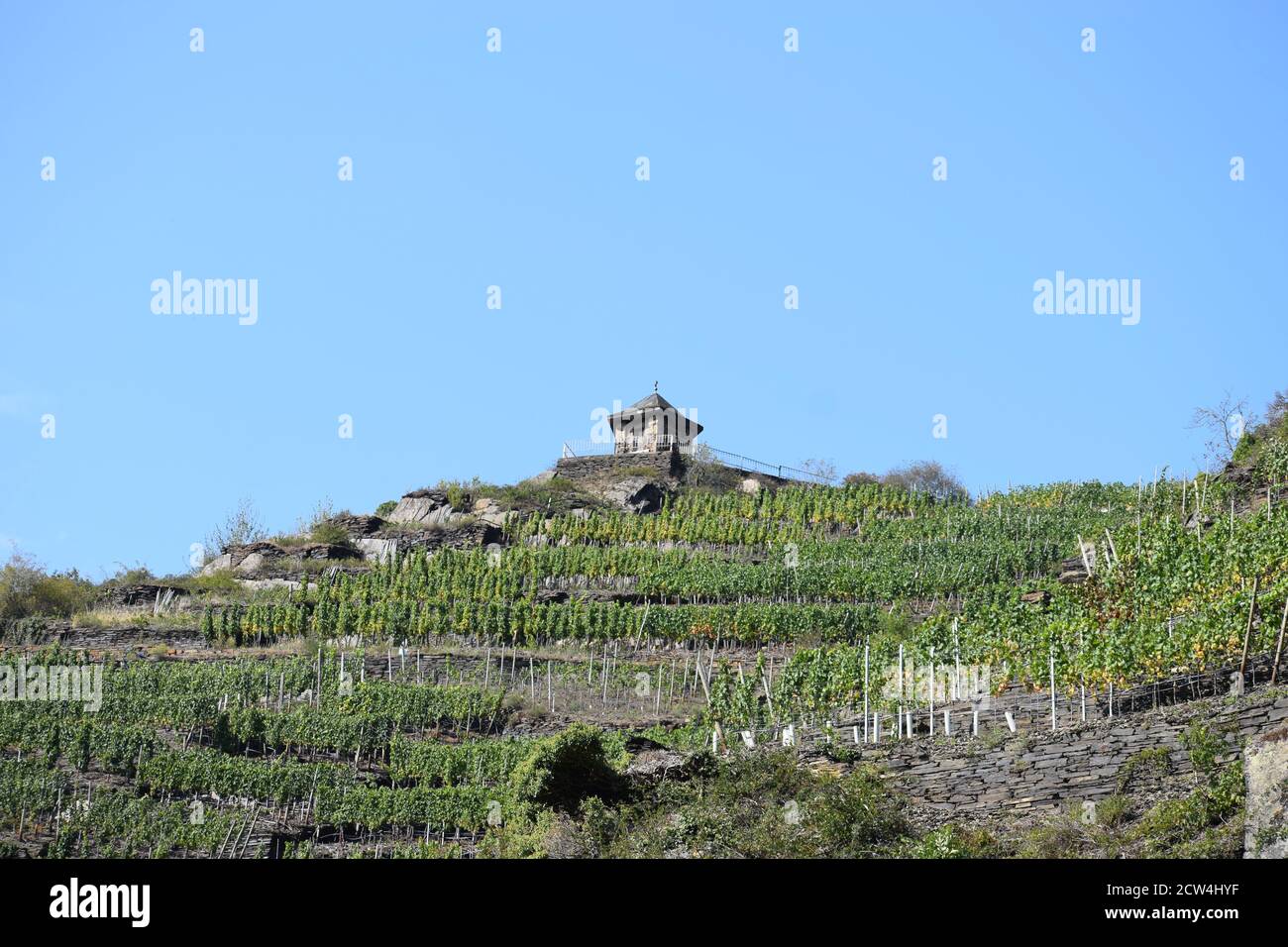Ahr valley vineyards Stock Photo - Alamy