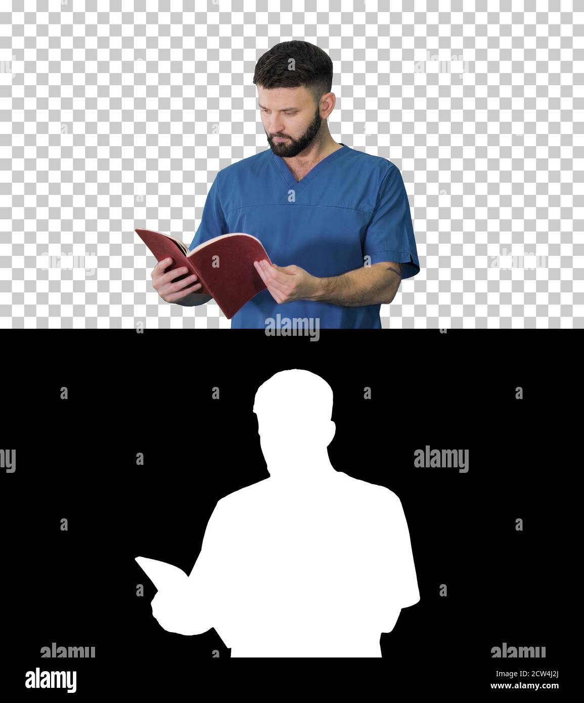 Doctor reading medical journal while walking, Alpha Channel with Stock ...