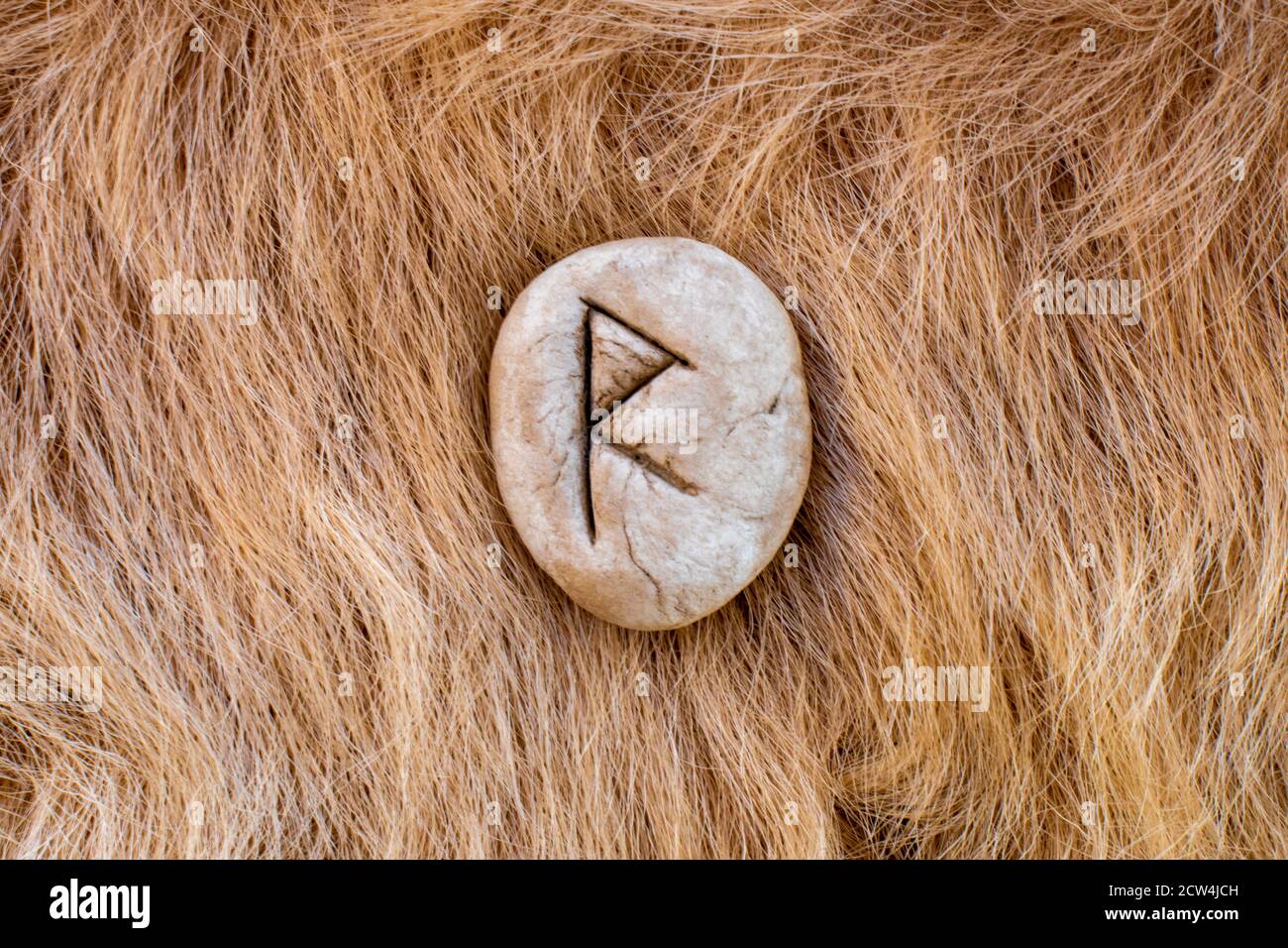 Raido or Raidho Nordic stone rune on fur. Letter Raed of the Viking ...