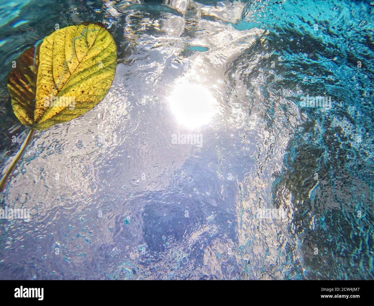 Wet pool texture hi-res stock photography and images - Alamy