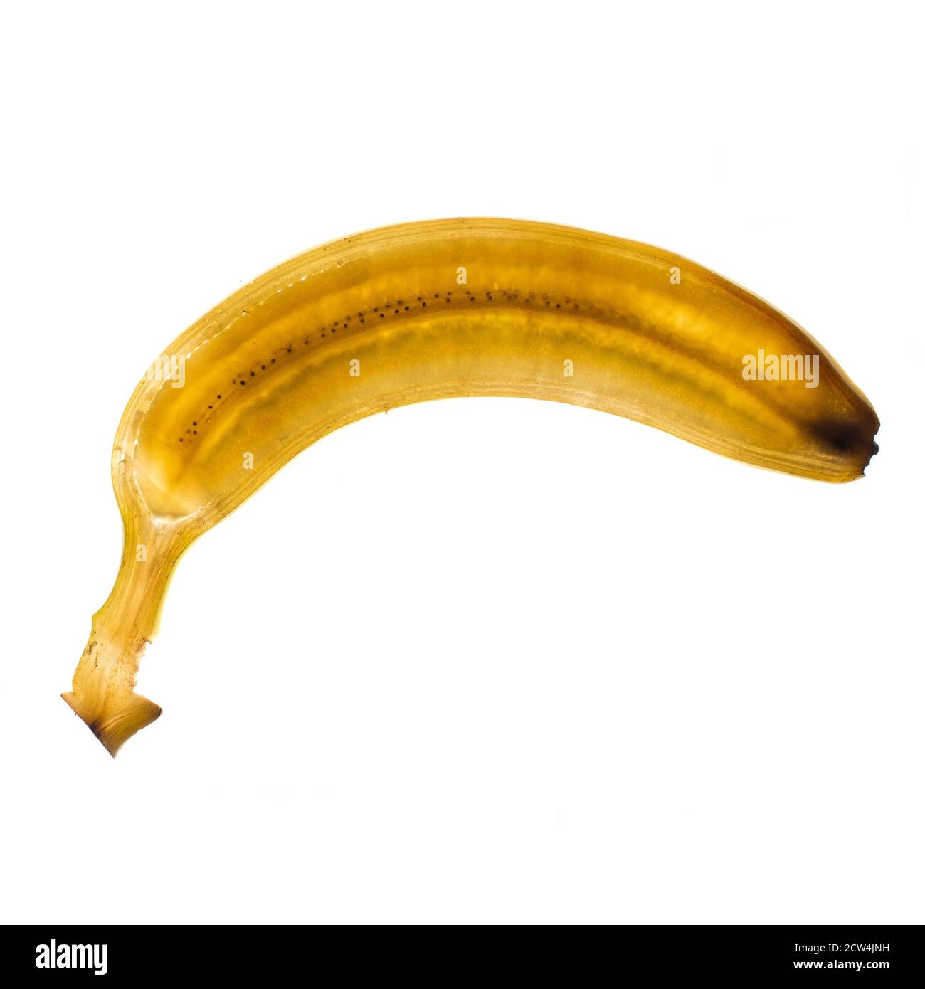 Slice of banana fruit with light shining through backlight showing the ...