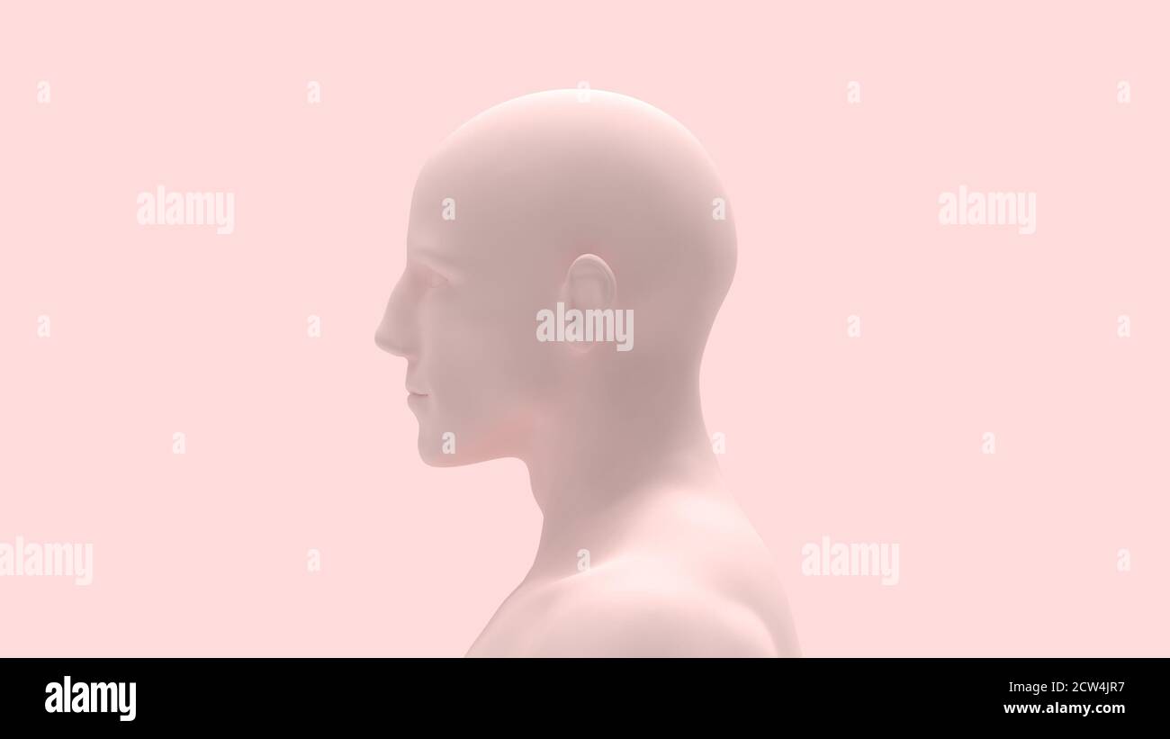 3D rendering of a human person body anatomy skin colore isolated Stock ...