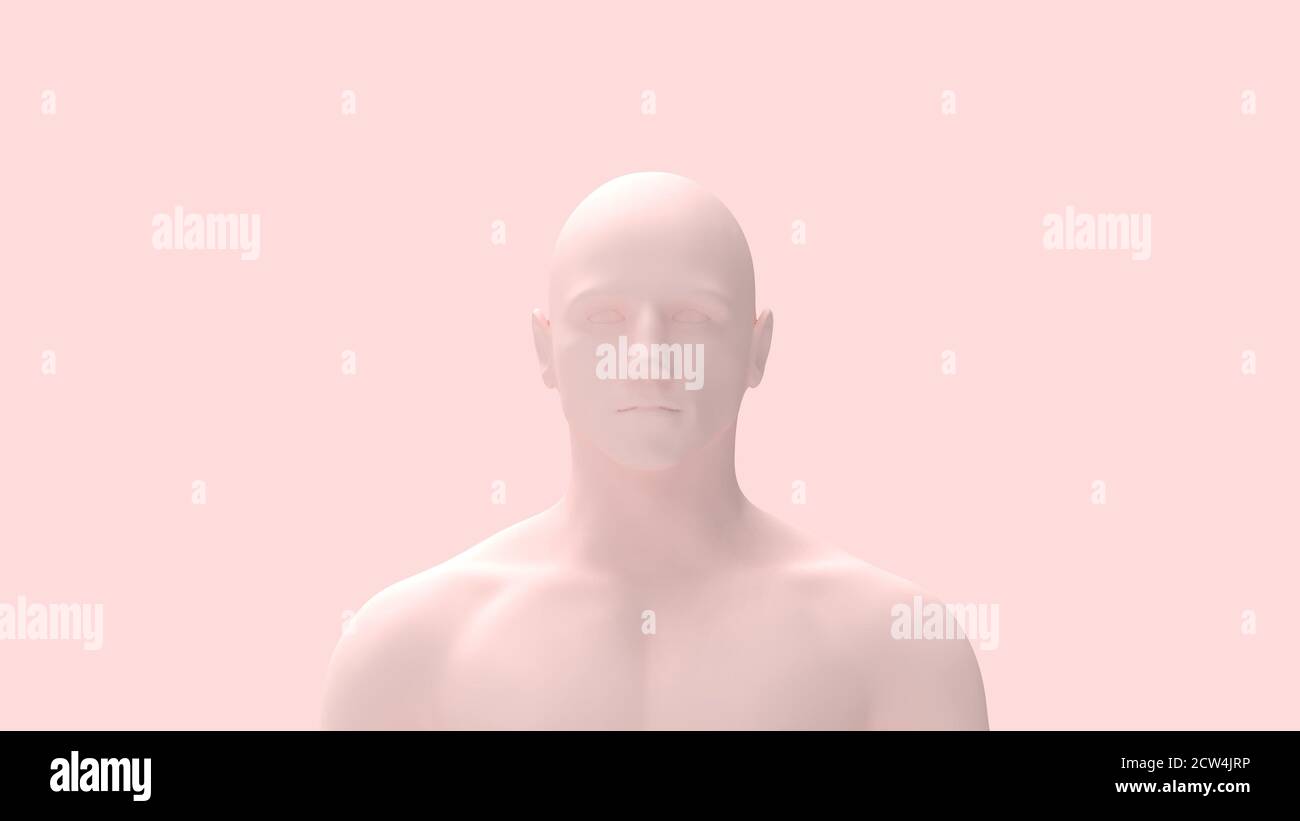 3D rendering of a human person body anatomy skin colore isolated Stock ...