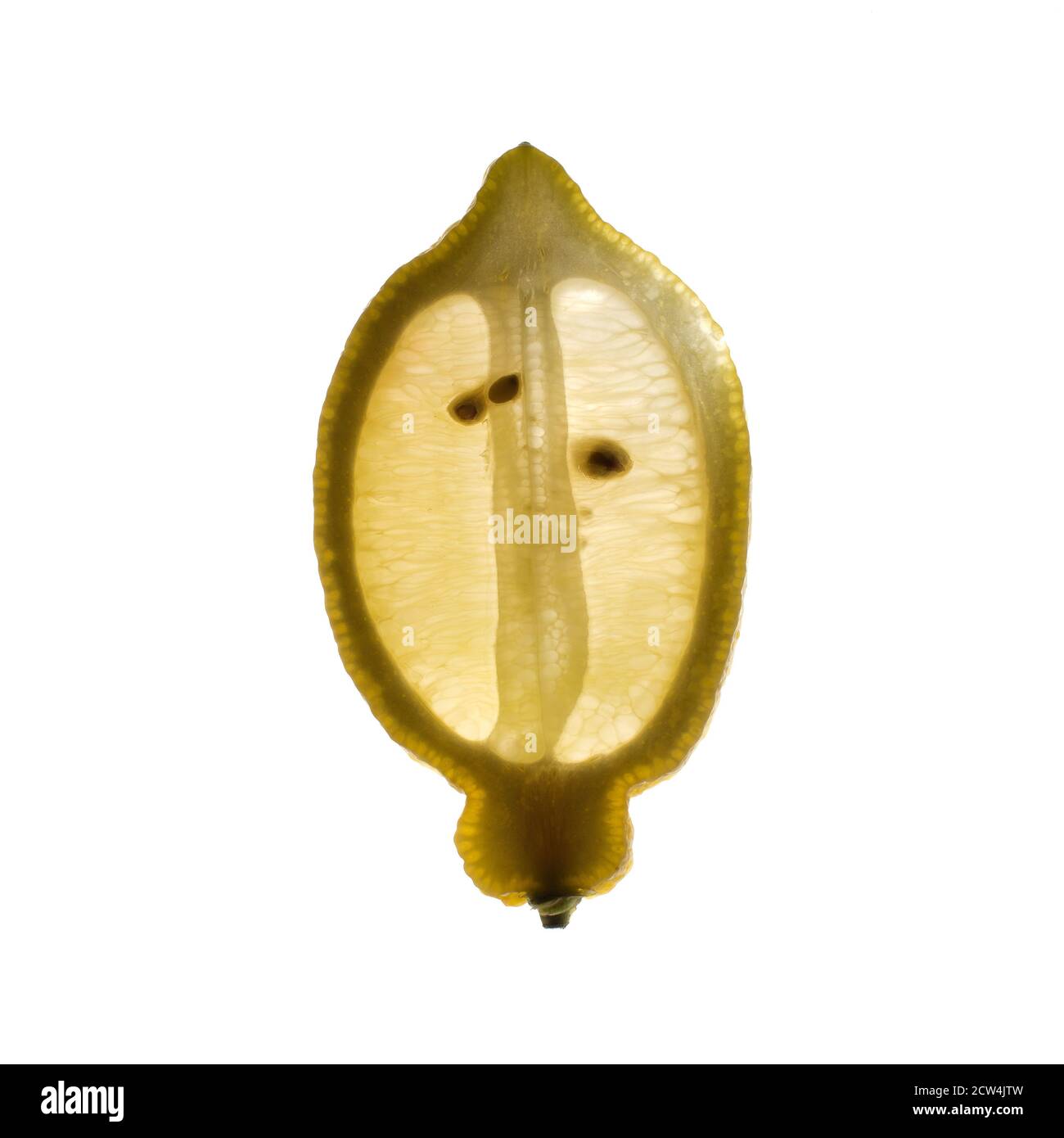 Slice of lemon fruit with light shining through backlight showing the ...