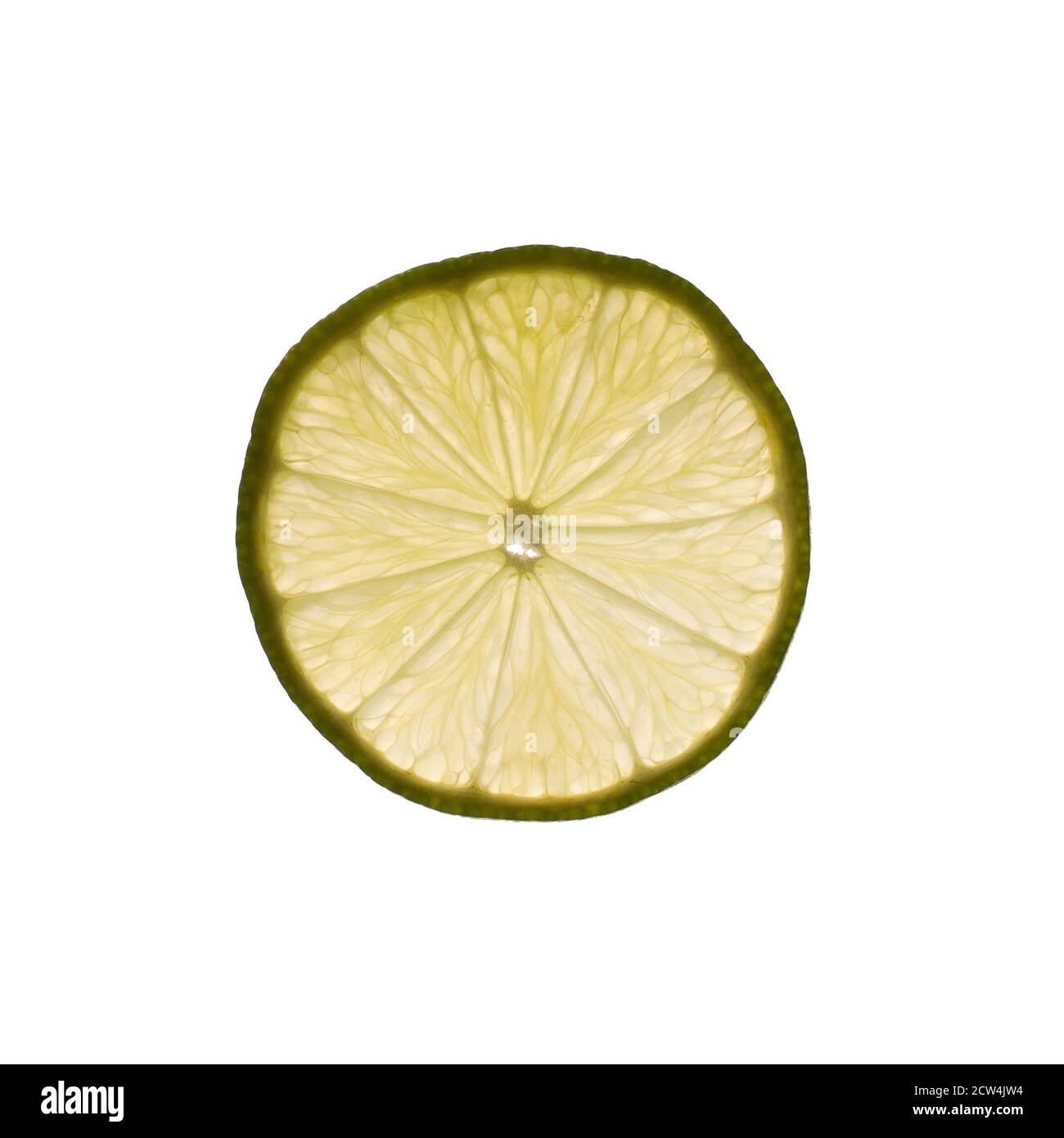 Slice of lime fruit with light shining through backlight showing the ...
