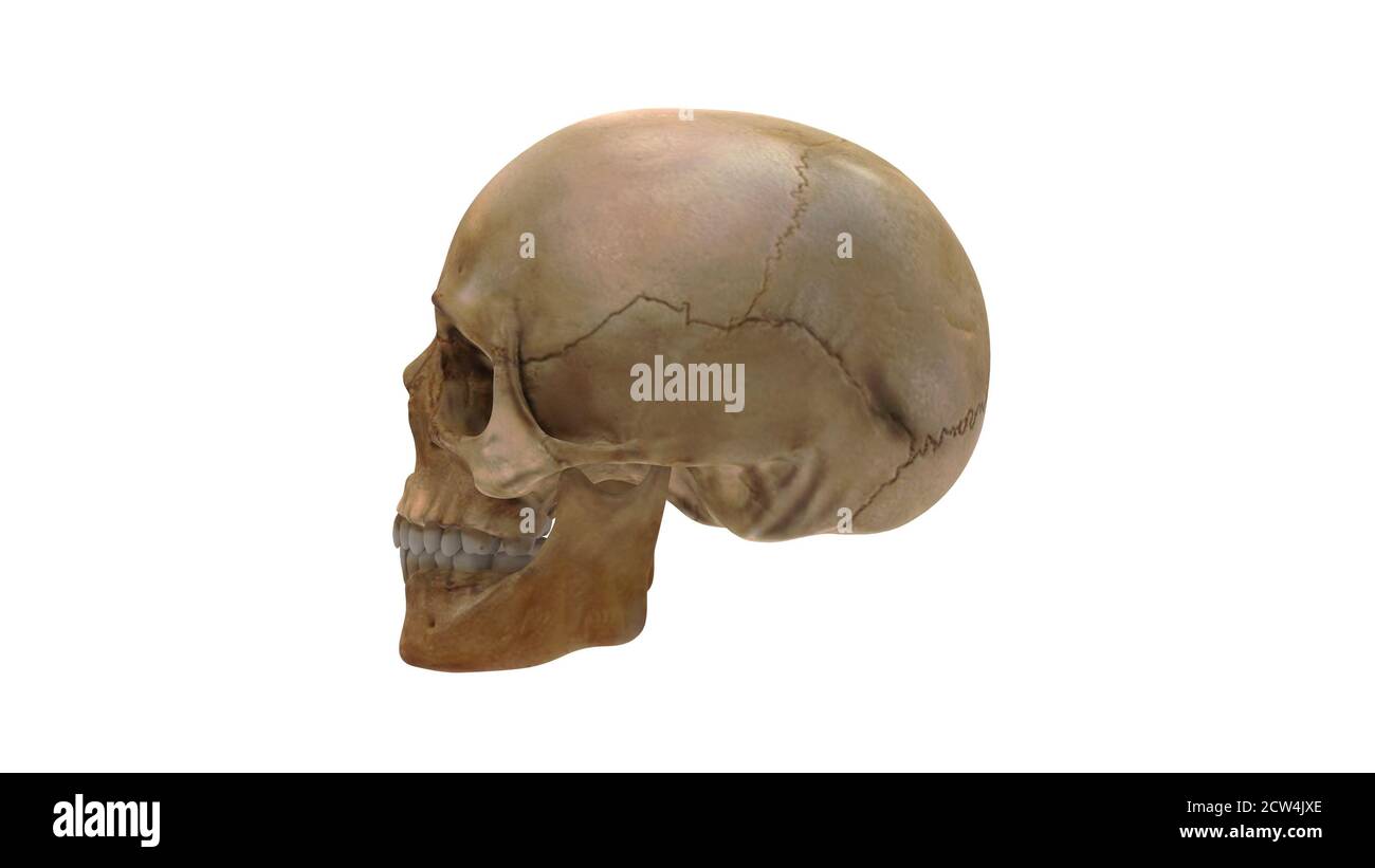 Brutal death Cut Out Stock Images & Pictures - Alamy