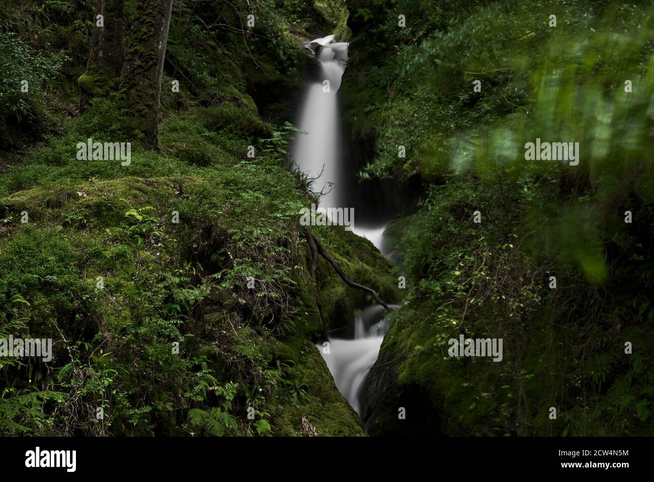 Small narrow waterfall in magic forest. Tiny waterfall. Long-exposure ...