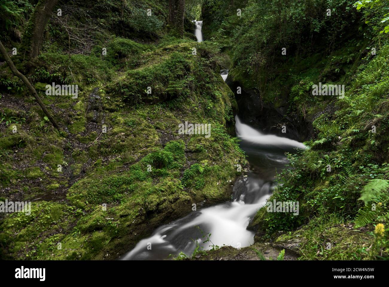 Small narrow waterfall in magic forest. Tiny waterfall. Long-exposure ...