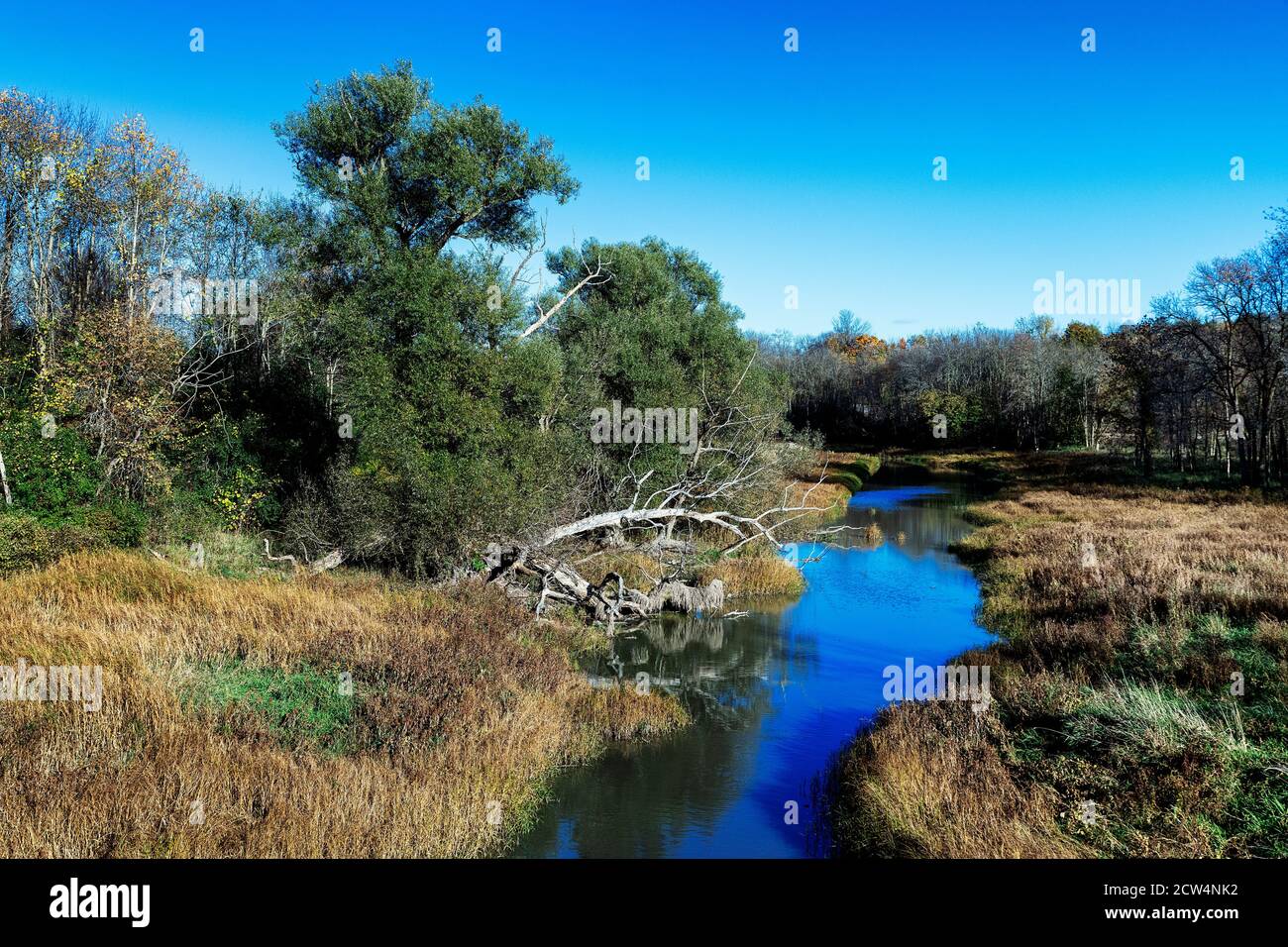 Vermont country fair hi-res stock photography and images - Alamy