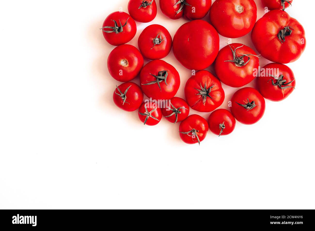 Fresh tomatoes circle shape on white background with copy space. Can be ...