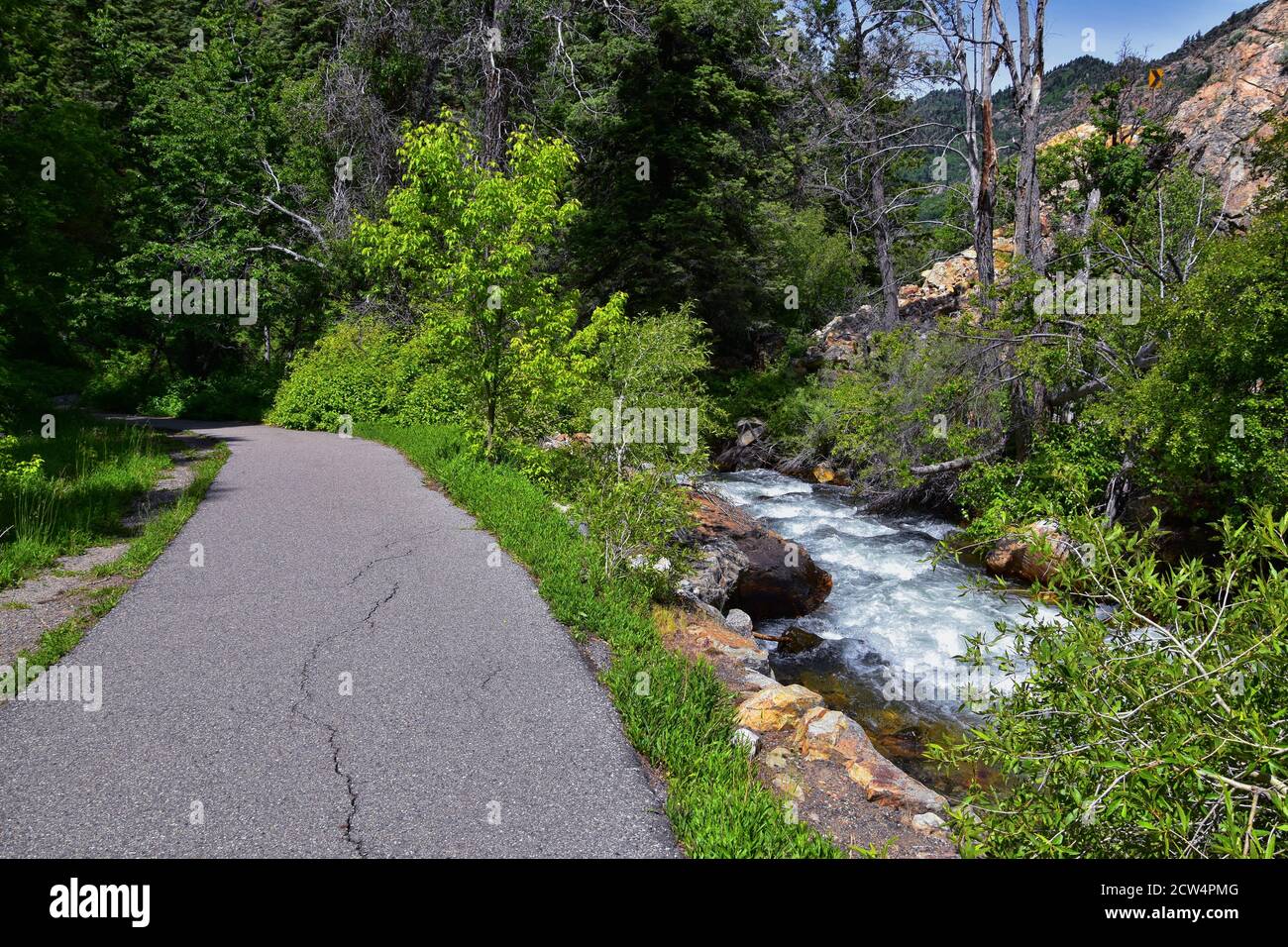 Hiking Trail to Lake Blanche forest and mountain. Wasatch Front Rocky ...