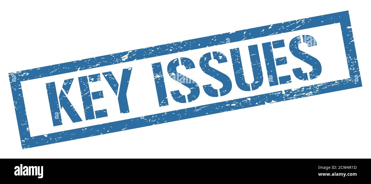 KEY ISSUES blue grungy rectangle stamp sign Stock Photo - Alamy