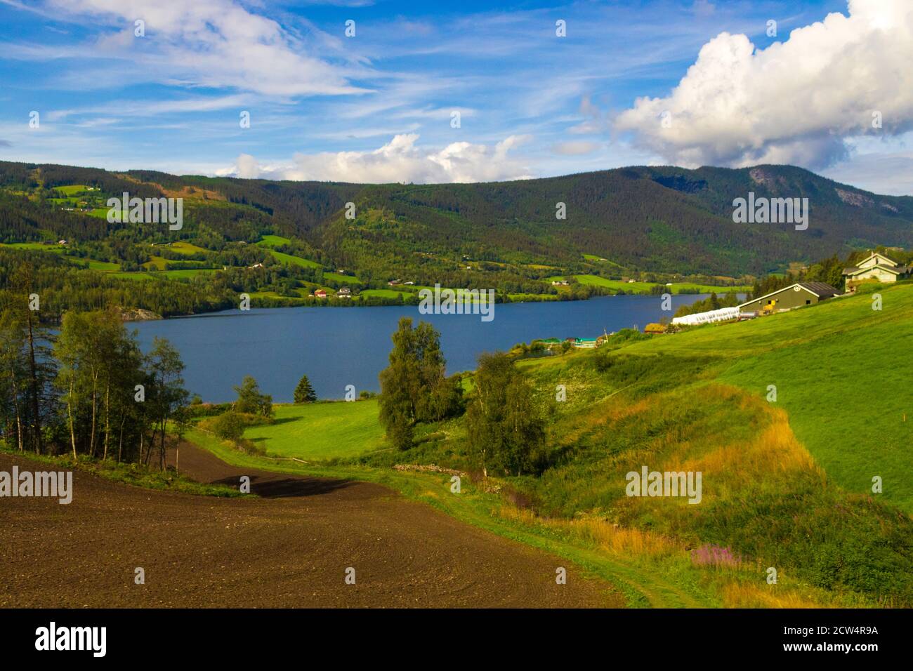Farmhouses at Slidrefjord lake shore seen from E16-European route from ...