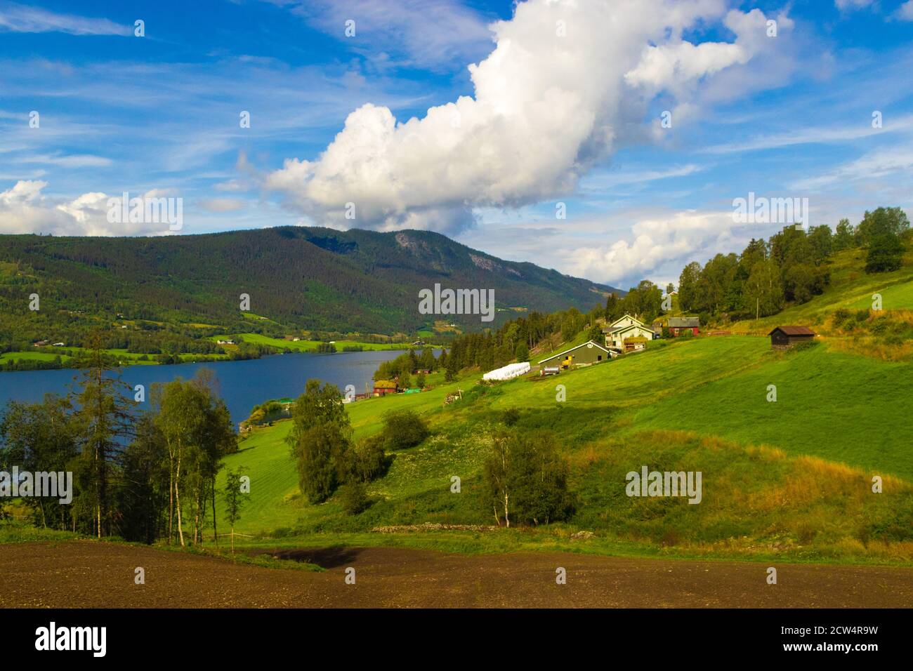 Farmhouses at Slidrefjord lake shore seen from E16-European route from ...