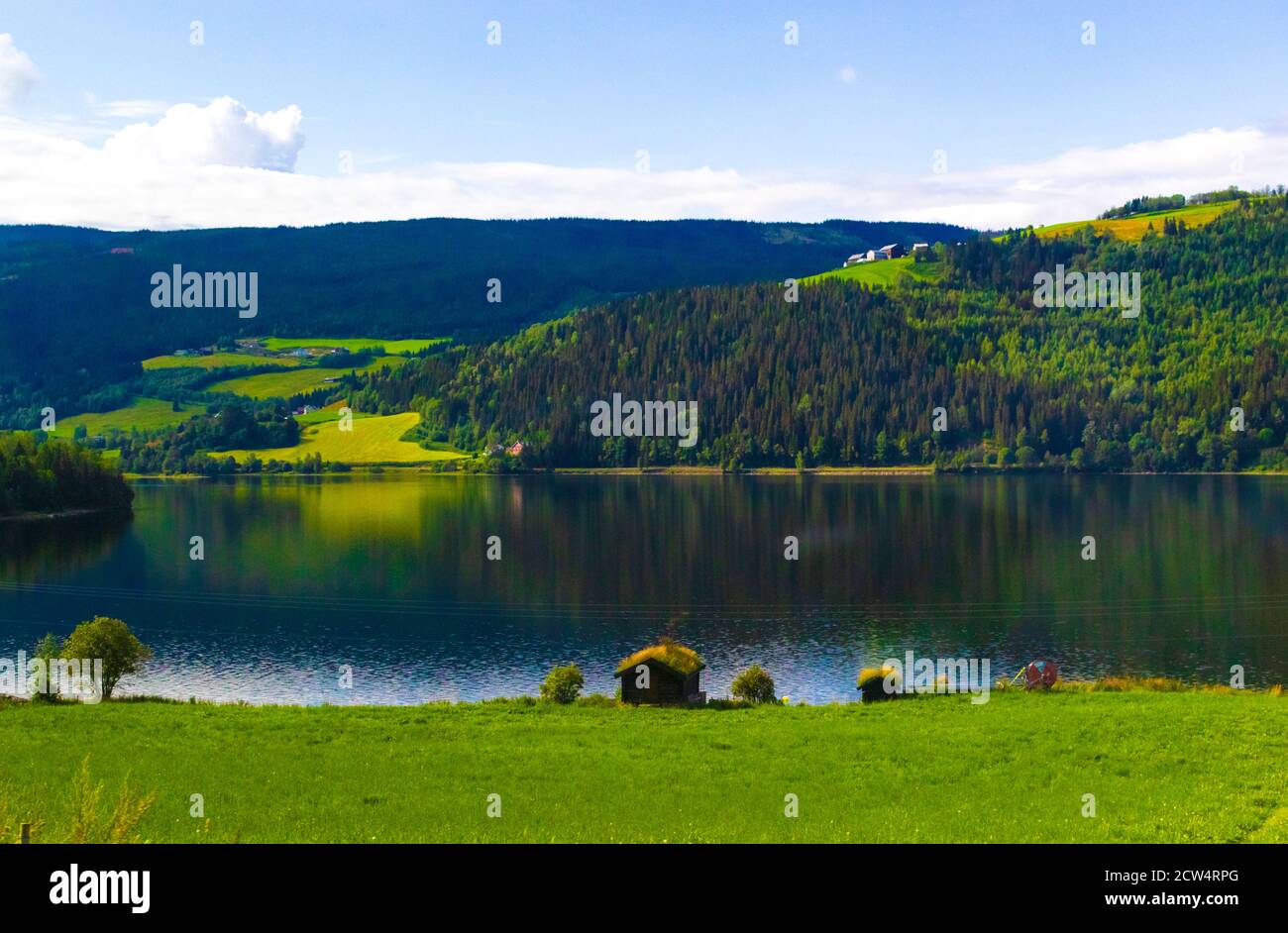 Beautiful summer scenery Slidrefjord lake shore seen from E16-European ...