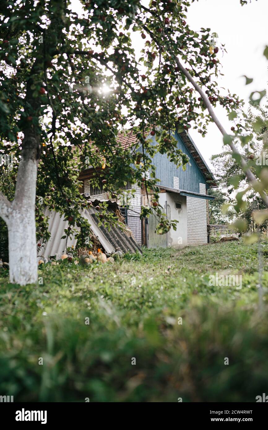 Small wooden barn hi-res stock photography and images - Alamy