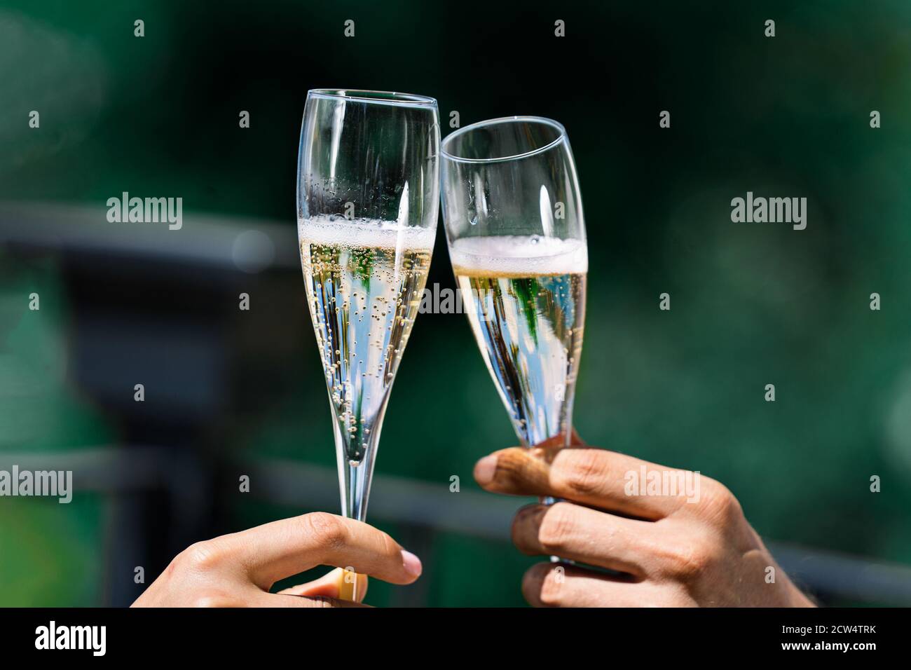two hand holding champagne glasses toasting with nature background ...