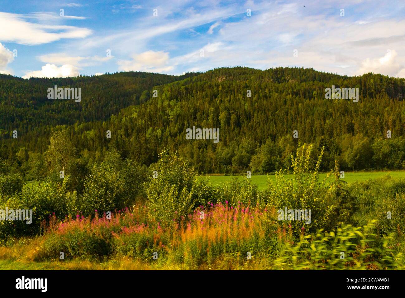 Storane river hi-res stock photography and images - Alamy