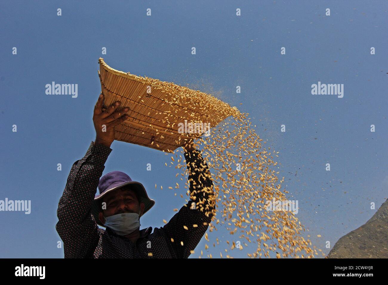 Traditional method of winnowing hi-res stock photography and images - Alamy
