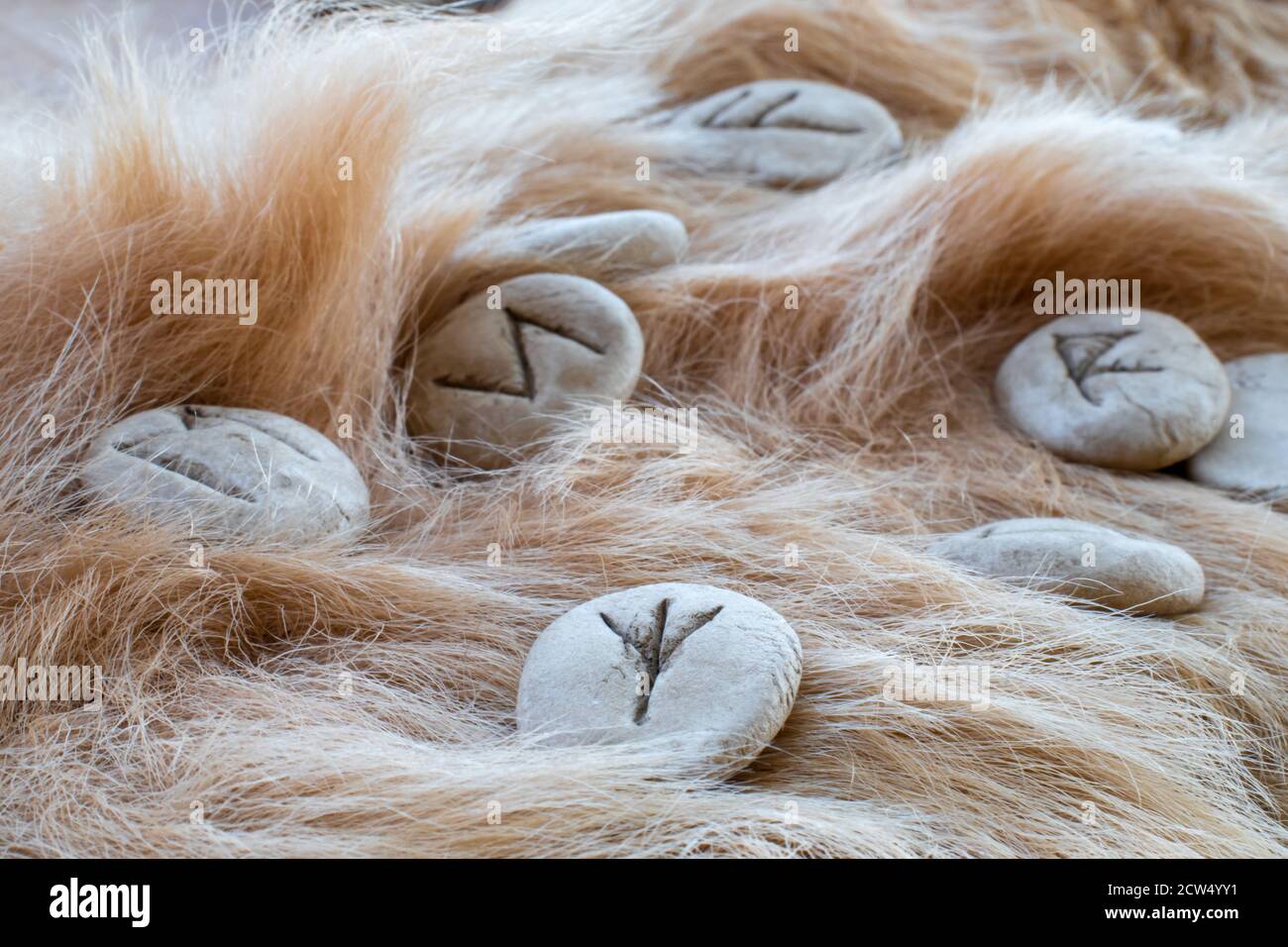 Stone runes on a fur. Futhark viking alphabet. Close up photo of Norse ...