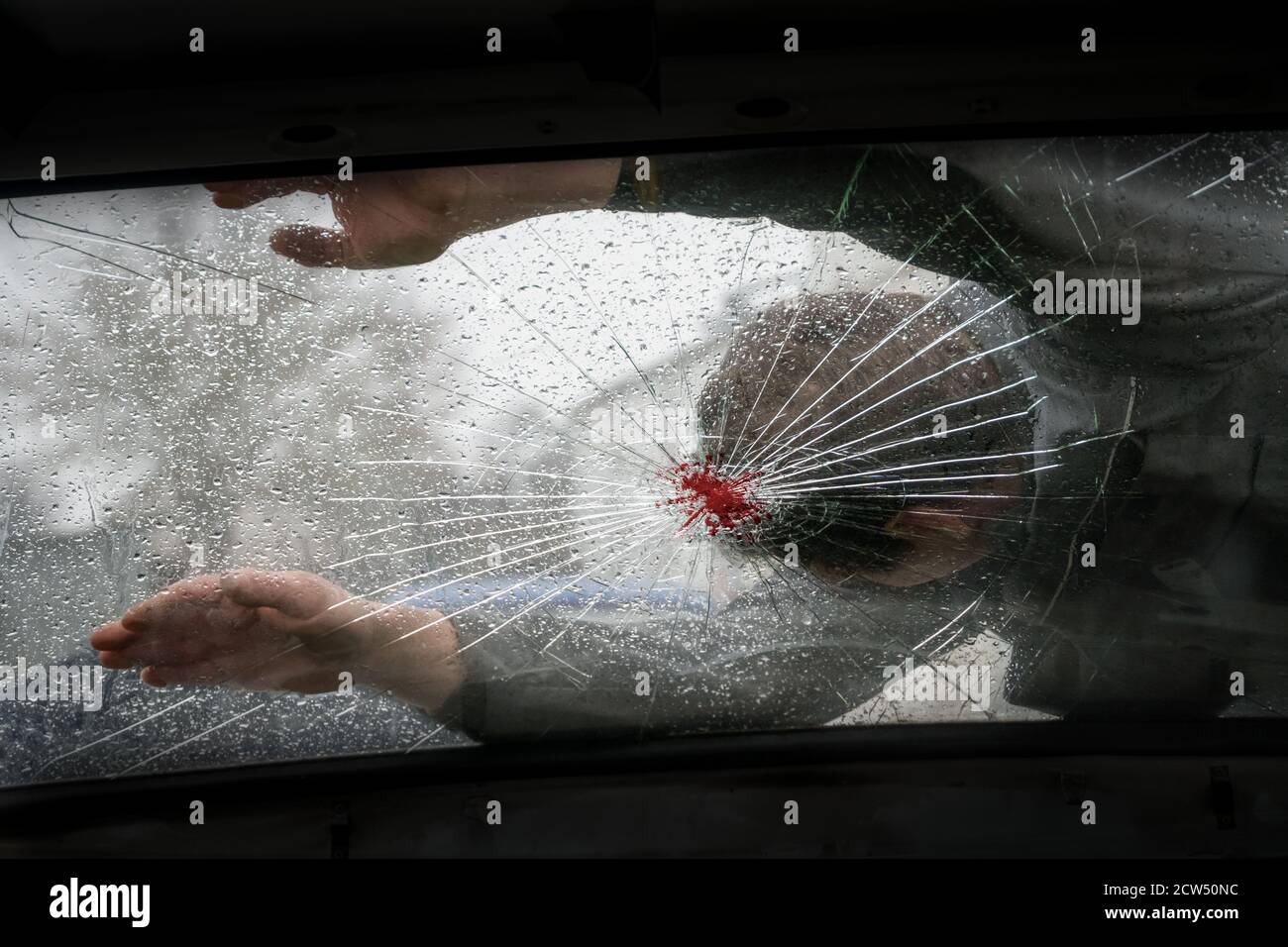 Pedestrian hit by a car, with blood on the splintered windshield Stock ...