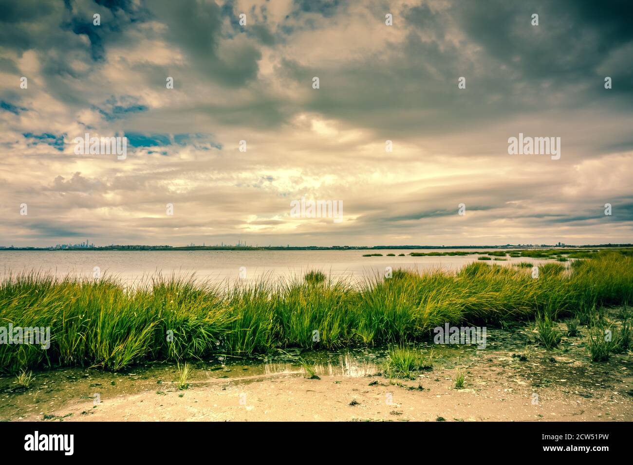 Grass field with swamp and moss around and buildings in the background ...